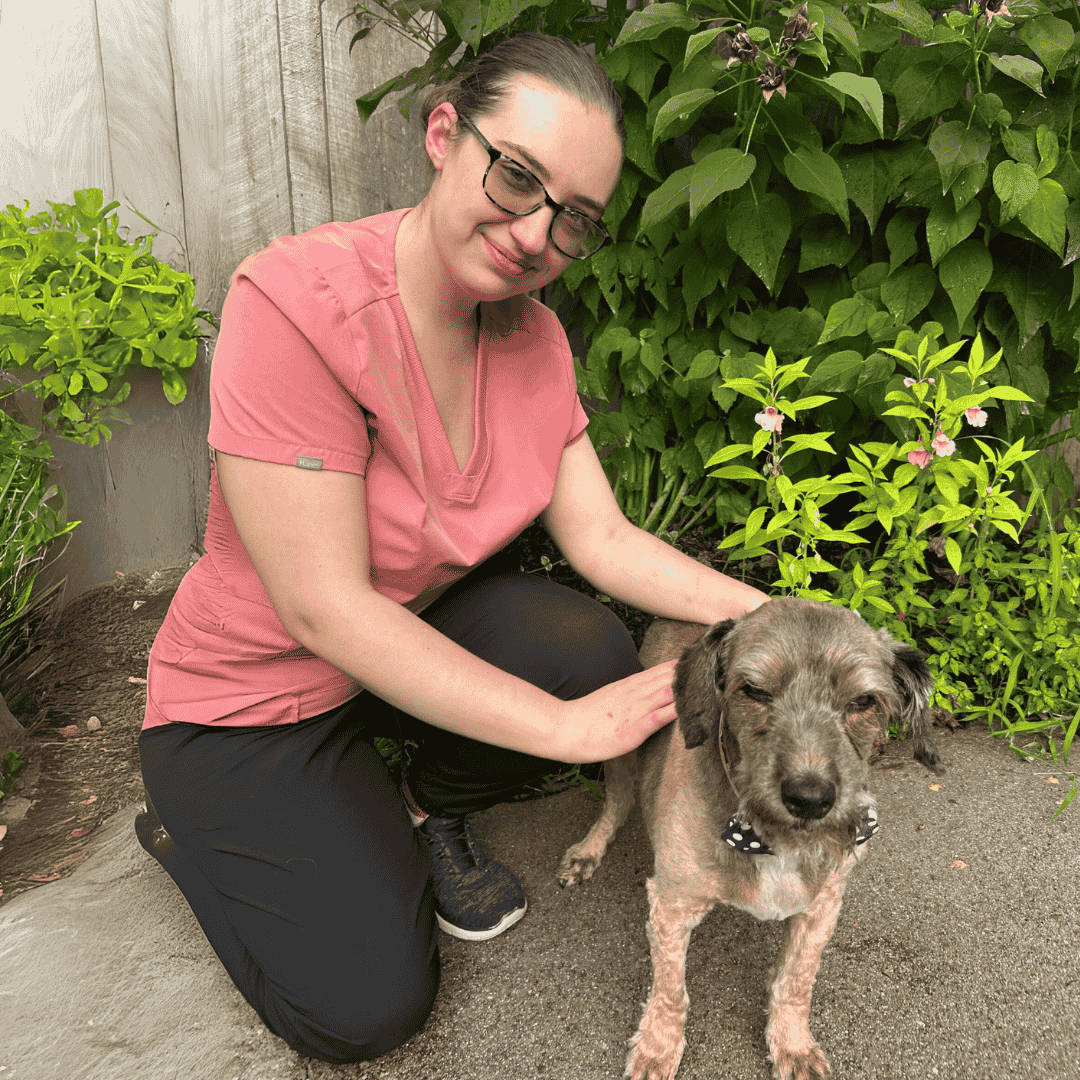 Haley Moore - Paragon School of Pet Grooming
