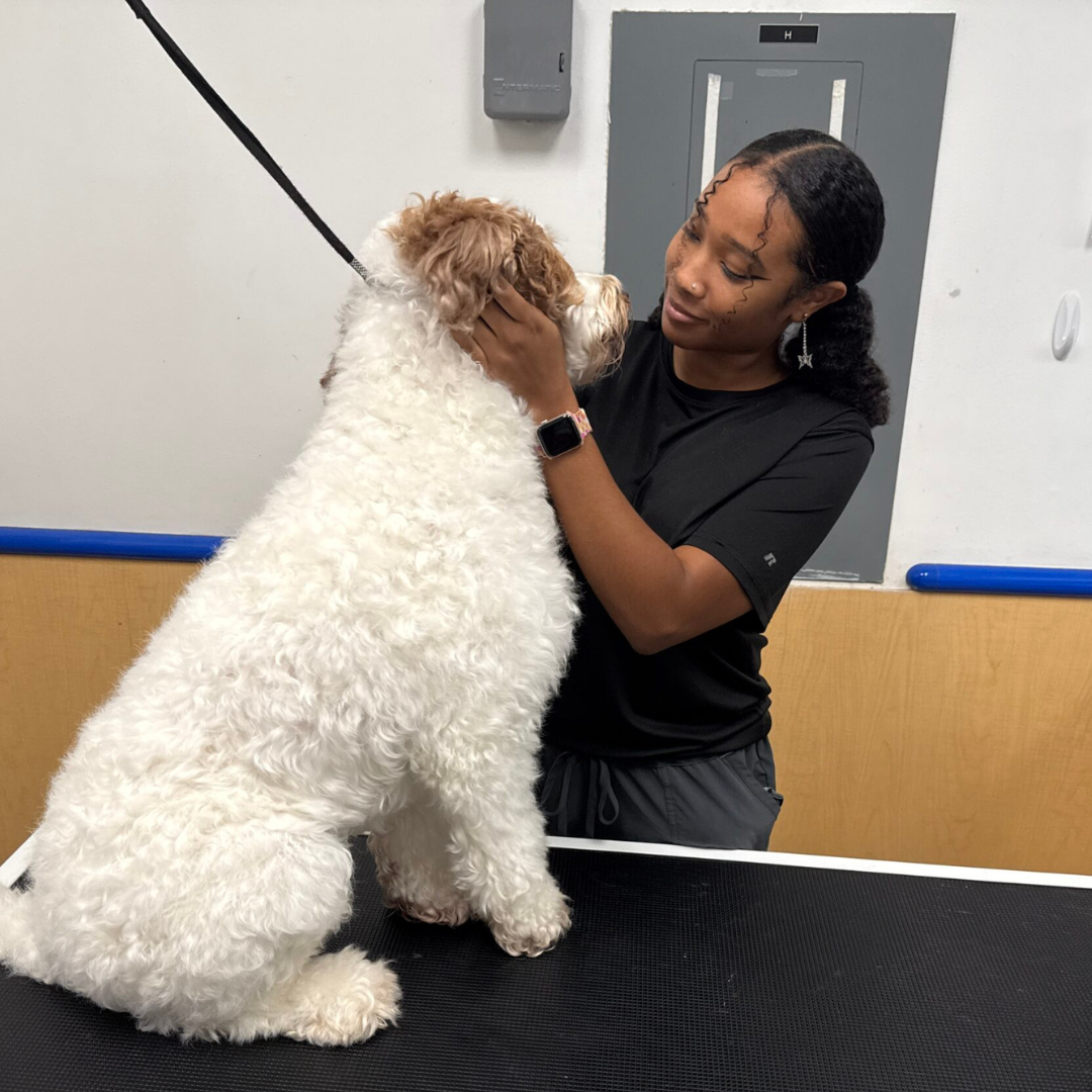 Zaria Smith - Paragon School of Pet Grooming